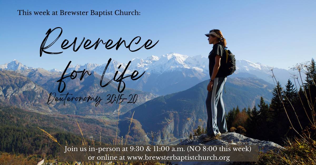 Reverence for Life - Brewster Baptist Church
