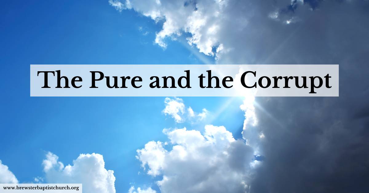 Verse of the Day August 2 - Brewster Baptist Church