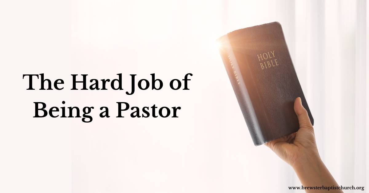 Verse of the Day July 29 - Brewster Baptist Church