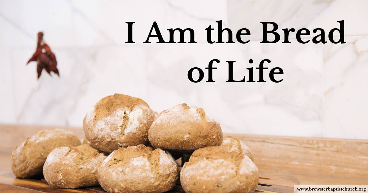 Verse of the Day September 8 - Brewster Baptist Church